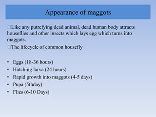 Death & changes after death | PDF