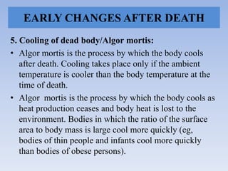 Algor Mortis Timeline