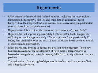Algor Mortis Timeline