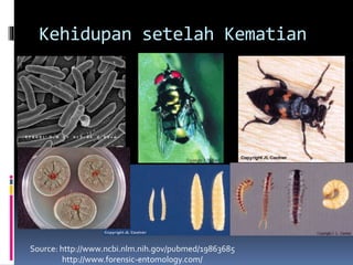 Death in science | PPTX