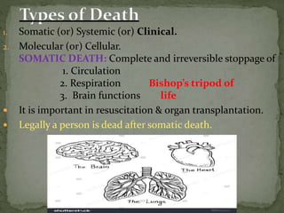 Death & its causes | PPTX