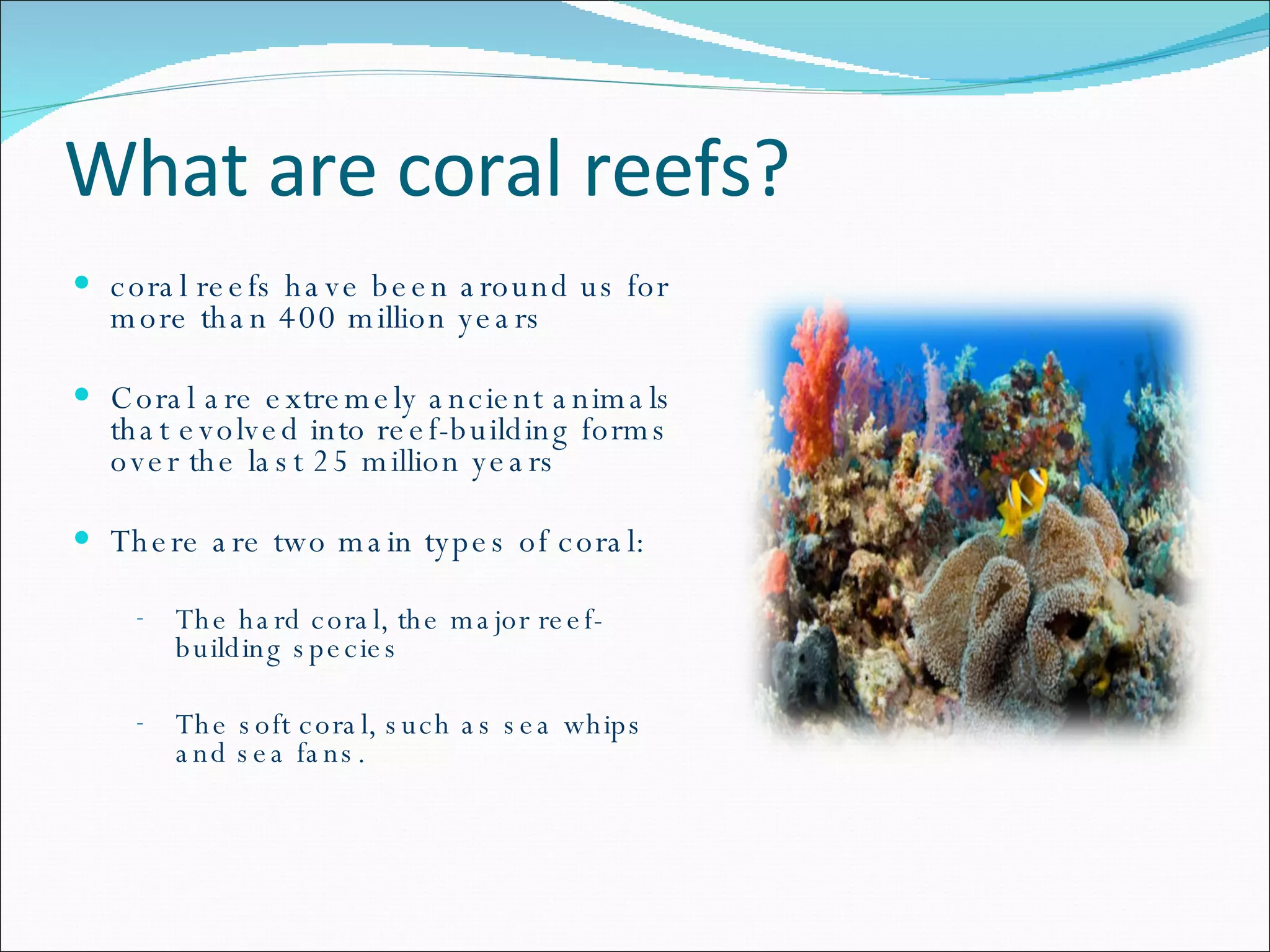 Death Of Coral Reefs | PPT