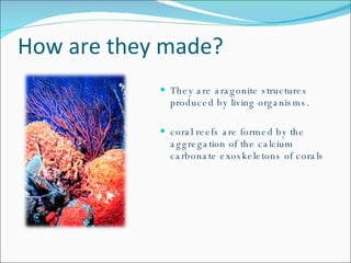 Death Of Coral Reefs | PPT