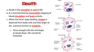 Notes on autopsies and types of death from forensics | PPTX