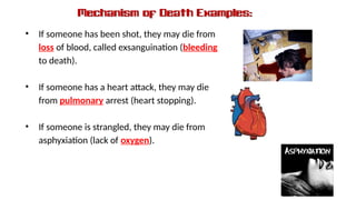 Notes on autopsies and types of death from forensics | PPTX
