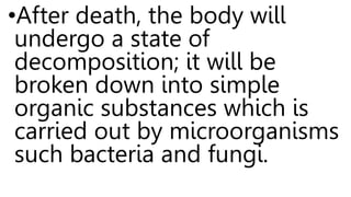 DEATH PHILOSOPHY.pptx