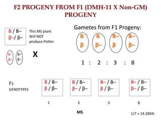 debal deb-GM_Mustard-environmental risk assessment-dmh-11-Jul14-GEAC.pdf