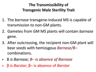 debal deb-GM_Mustard-environmental risk assessment-dmh-11-Jul14-GEAC.pdf
