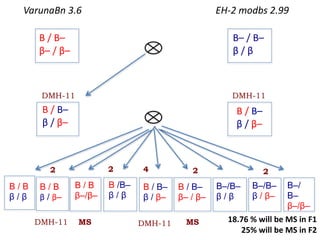 debal deb-GM_Mustard-environmental risk assessment-dmh-11-Jul14-GEAC.pdf