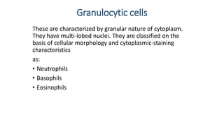 Cells of immune system | PPTX