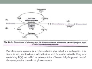 Gluconic Acid: Production and Market | PPTX
