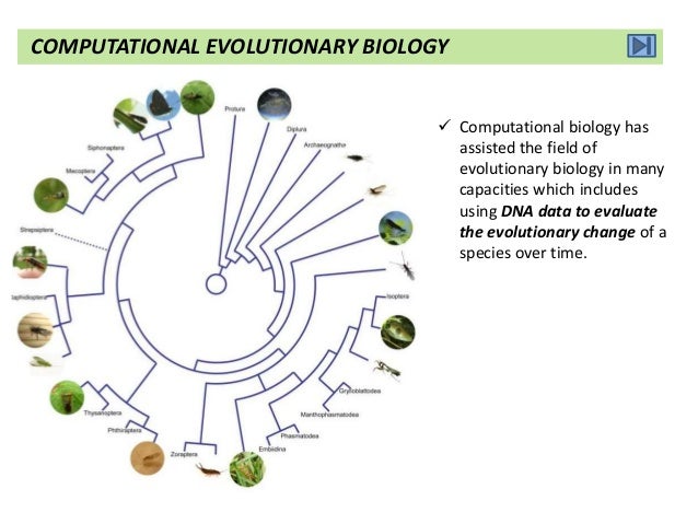 Computational Biologist-The Next Pharma Scientist?