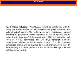 Debarko banerji sacnas ppresentation | PPT