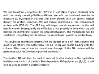 Debarko banerji sacnas ppresentation | PPT