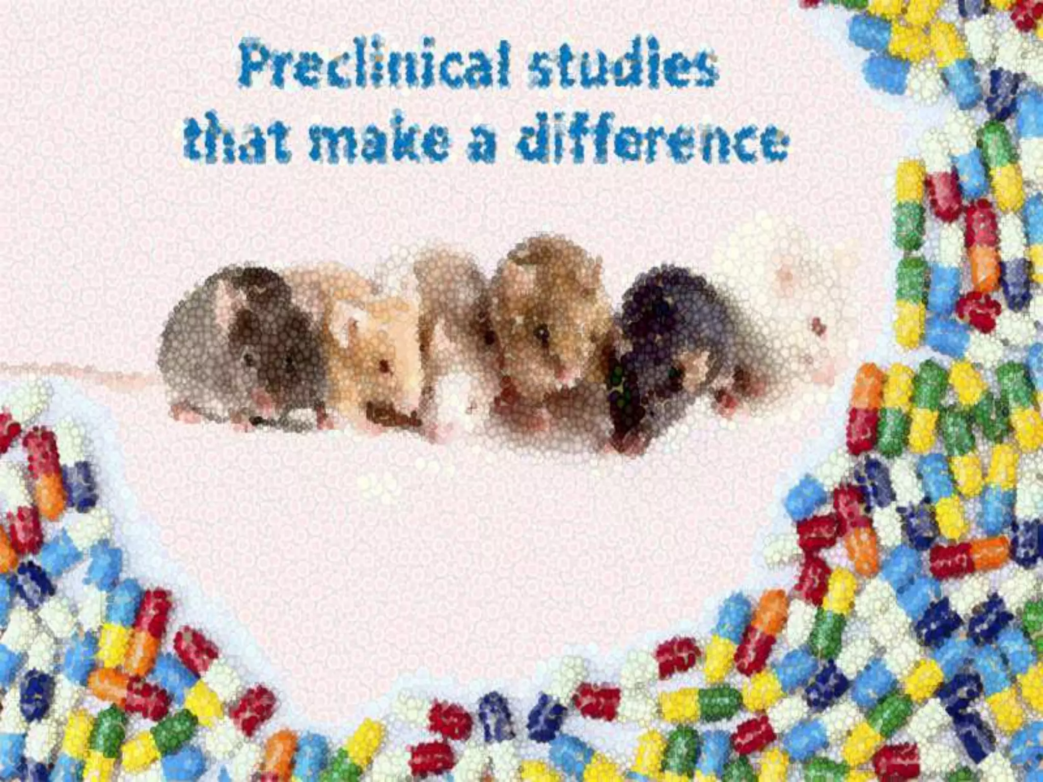 Pre Clinical Studies | PPTX