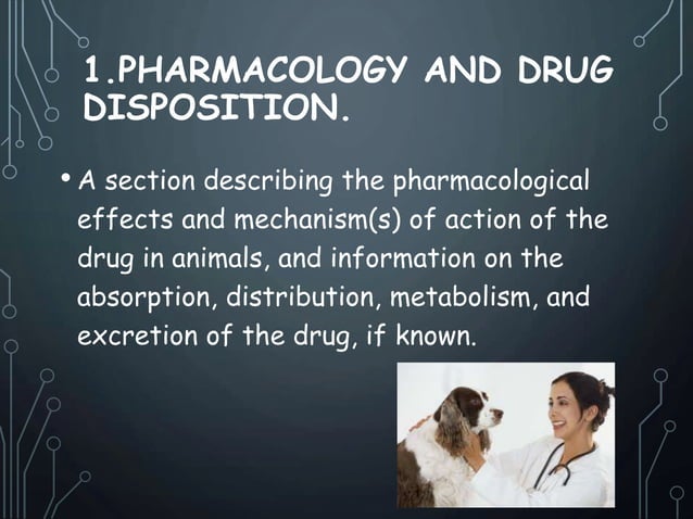 Pre Clinical Studies | PPTX