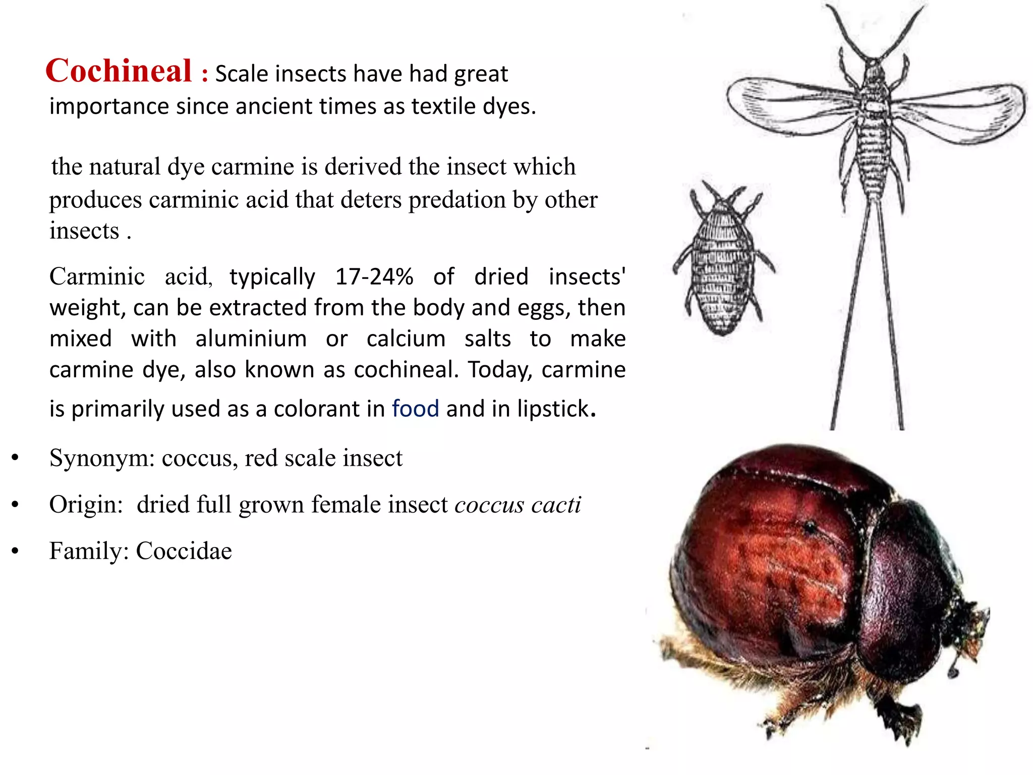 sweetening and coloring agents | PPTX