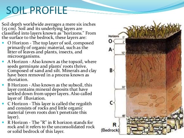 Soil Structure Horizon
