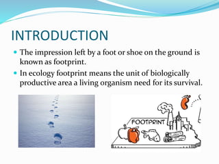 Ecological Footprint with emphasis on carbon footprint | PPTX