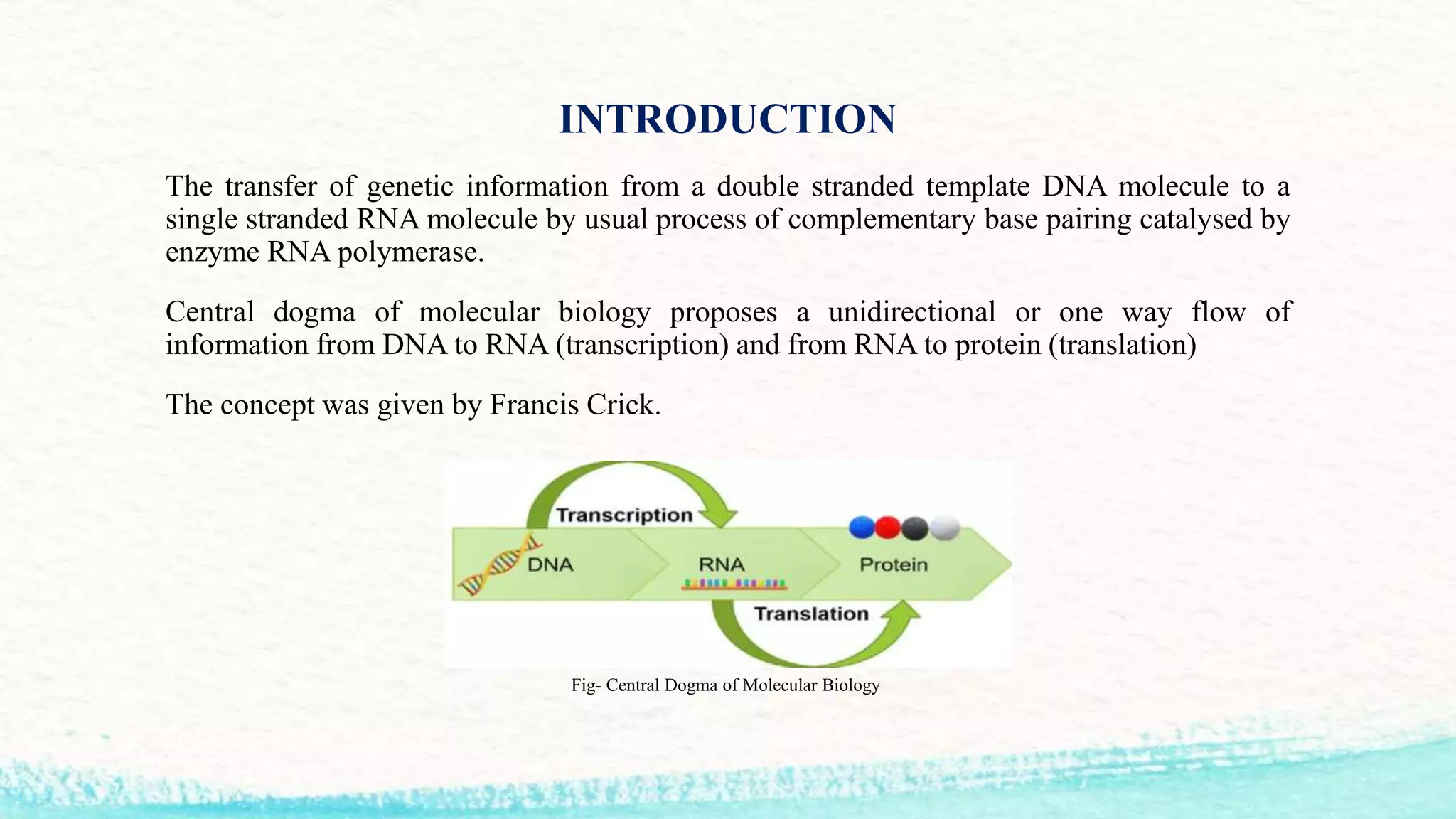 RNA Synthesis and Splicing.pptx