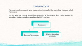 RNA Synthesis and Splicing.pptx