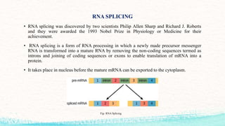 RNA Synthesis and Splicing.pptx
