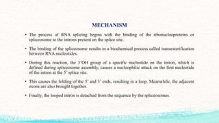 RNA Synthesis and Splicing.pptx