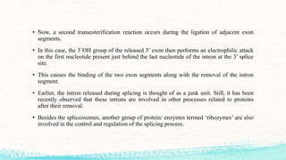 RNA Synthesis and Splicing.pptx