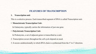 RNA Synthesis and Splicing.pptx
