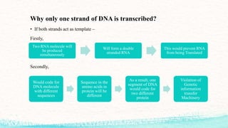 RNA Synthesis and Splicing.pptx