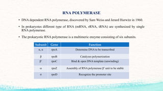 RNA Synthesis and Splicing.pptx