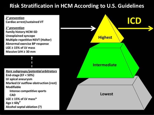 Debate risk stratification in hcm is feasible using a clinical score