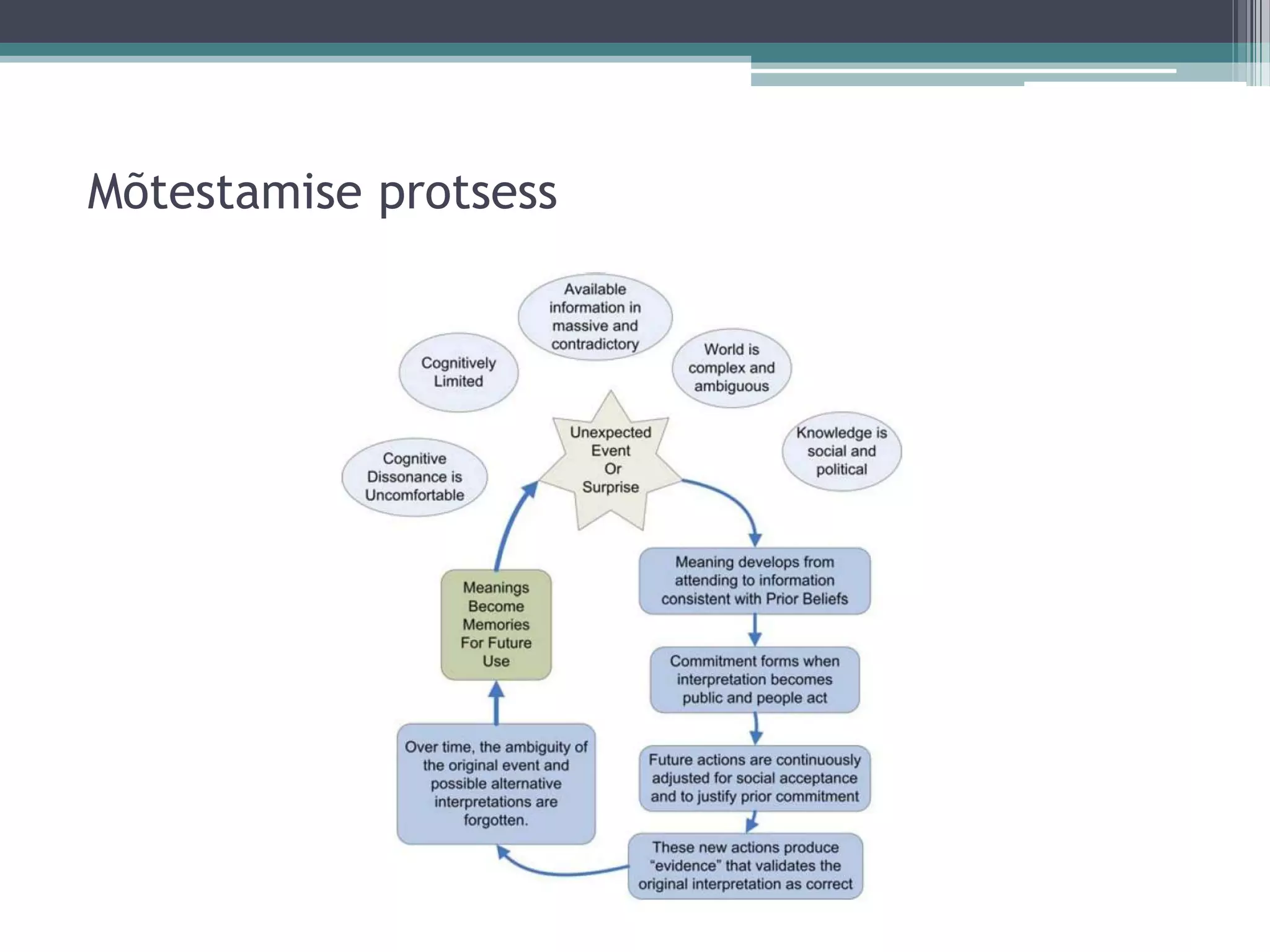 SensemakingTheory_BettyNiin&MaarjaLink | PPSX