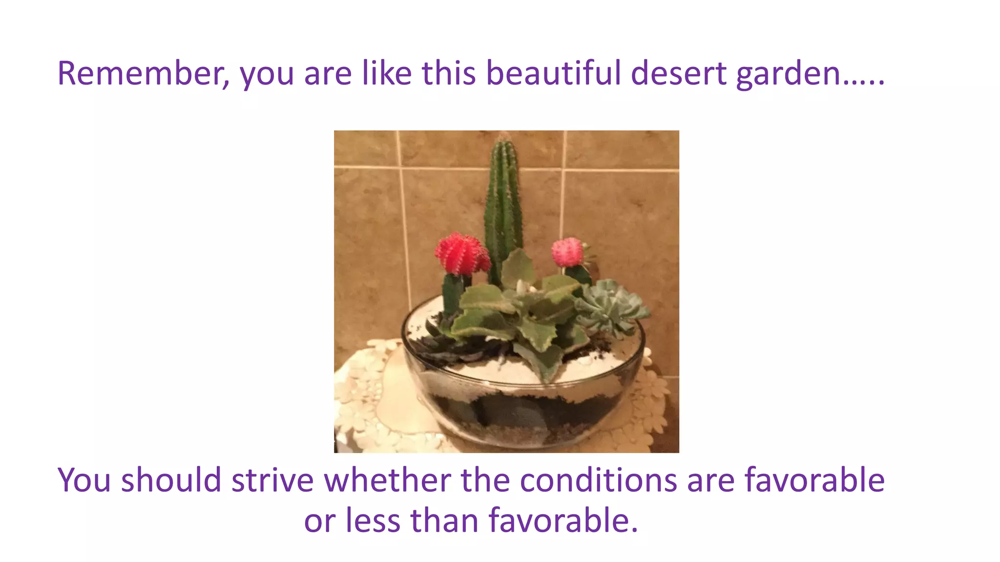 Debbie desert garden-powerpoint (1) | PDF