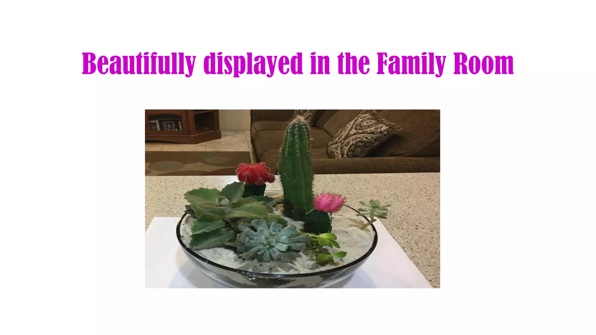 Debbie desert garden-powerpoint (1) | PDF