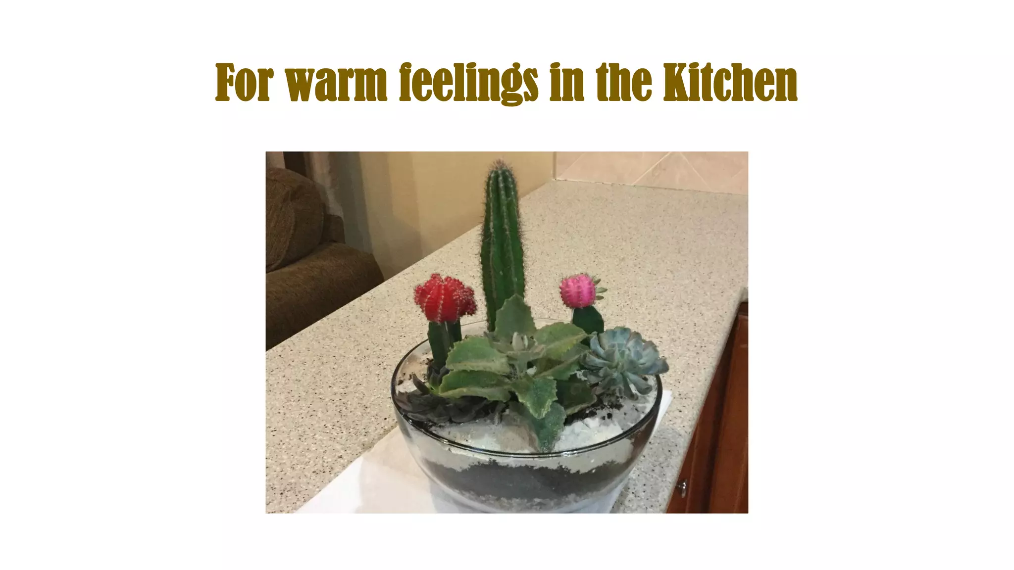 Debbie desert garden-powerpoint (1) | PDF