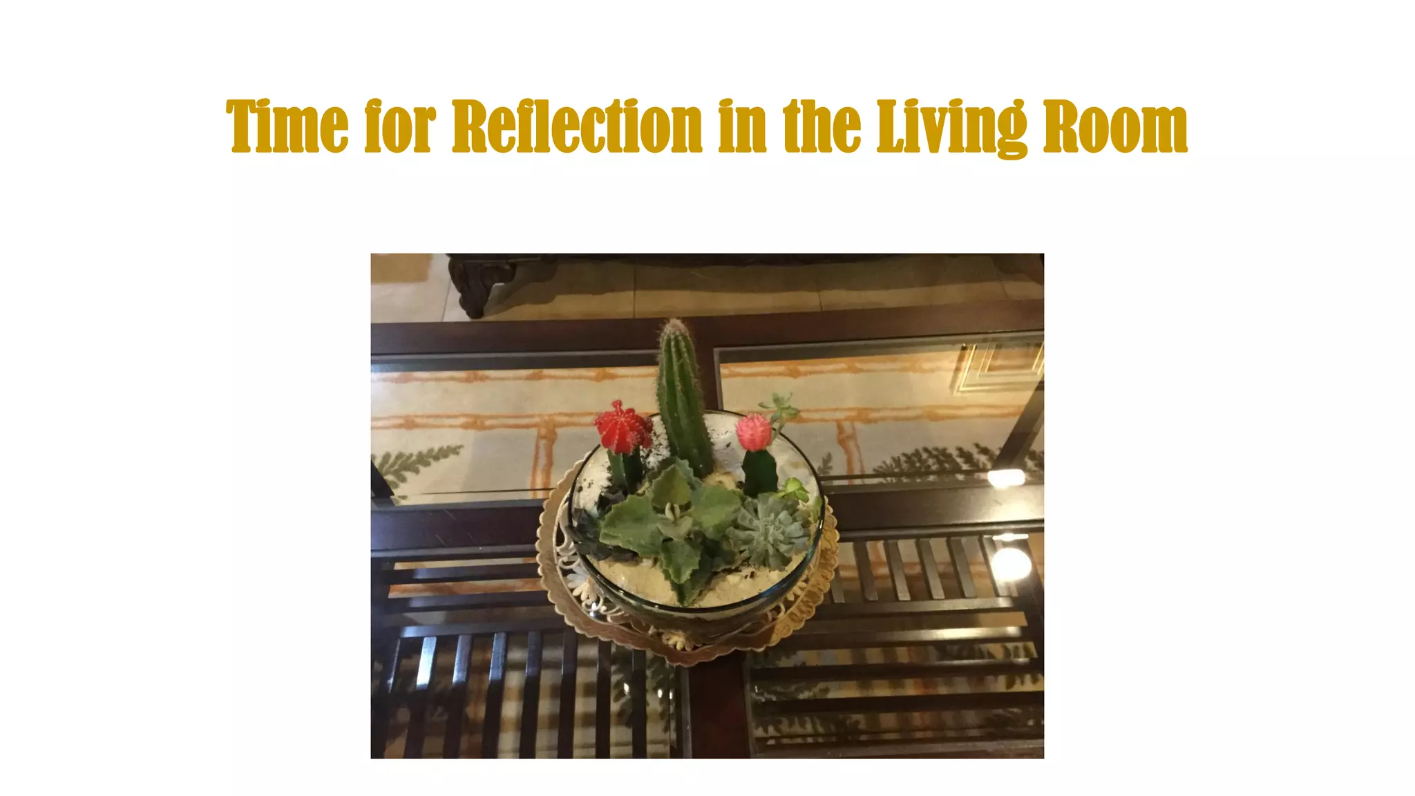 Debbie desert garden-powerpoint (1) | PDF