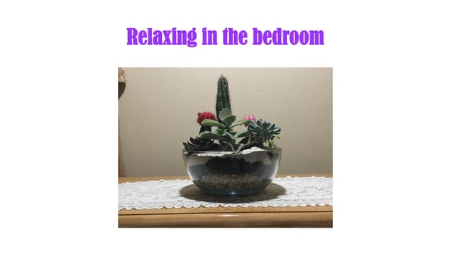 Debbie desert garden-powerpoint (1) | PDF