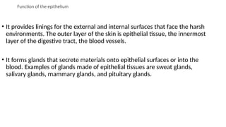 Introduction to anatomy practical and terms in anatomy | PPT