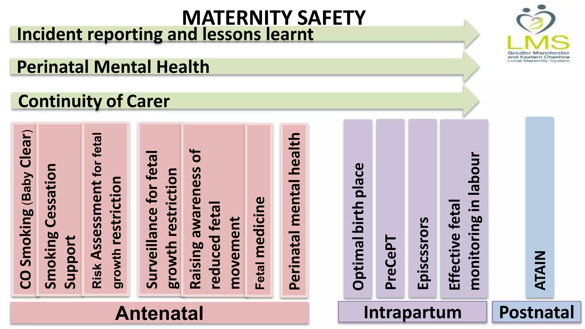 Debby Gould and Mandy Townsend - Maternity and Neonatal Learning System ...