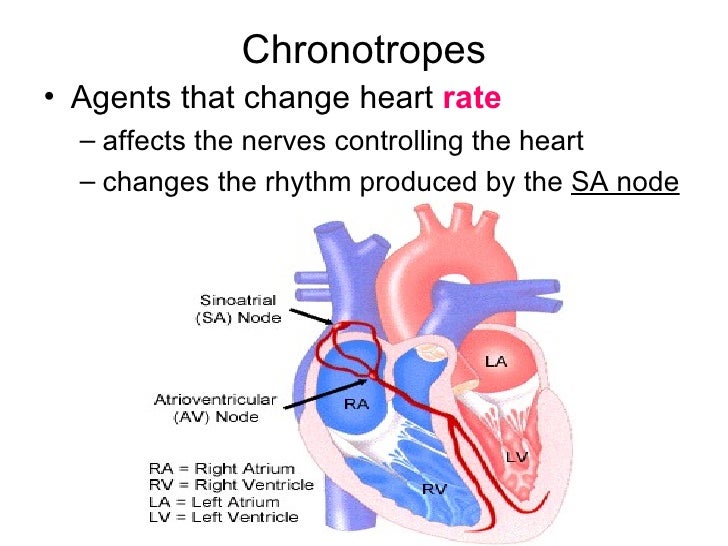 Debbie's Cardiac Meds Presentation Final Nn