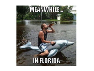 Tropical Storm Debby Leaves a Trail of Memes in Her Wake | PPT