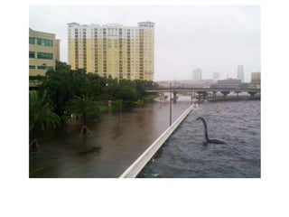 Tropical Storm Debby Leaves a Trail of Memes in Her Wake | PPT