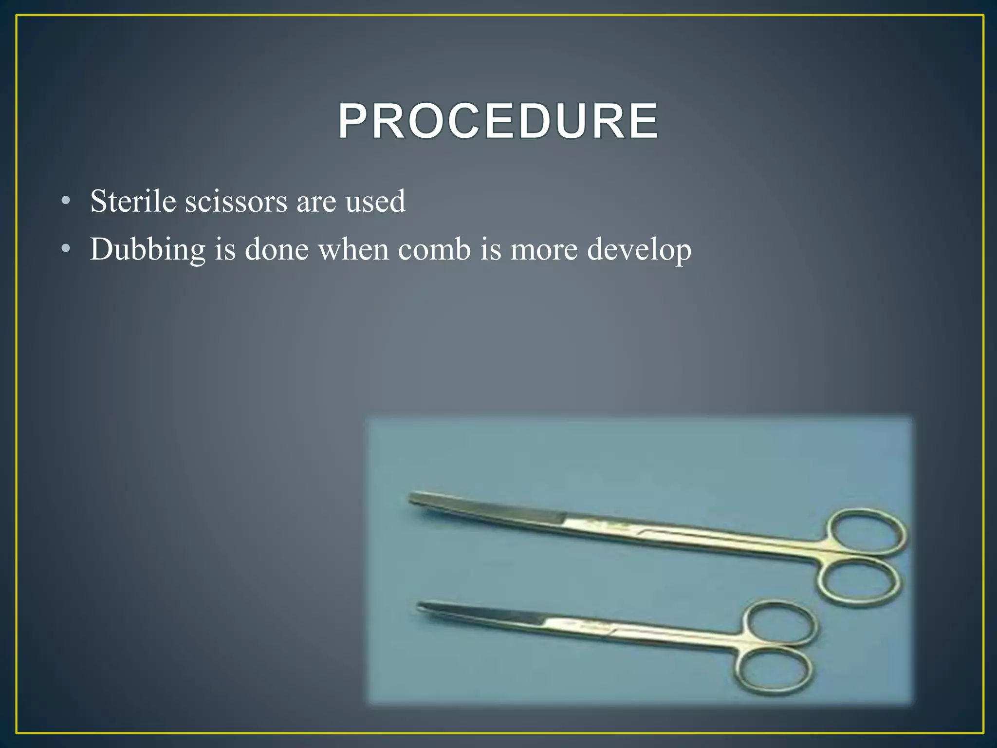 Debeaking & dumbing in poultry | PPT