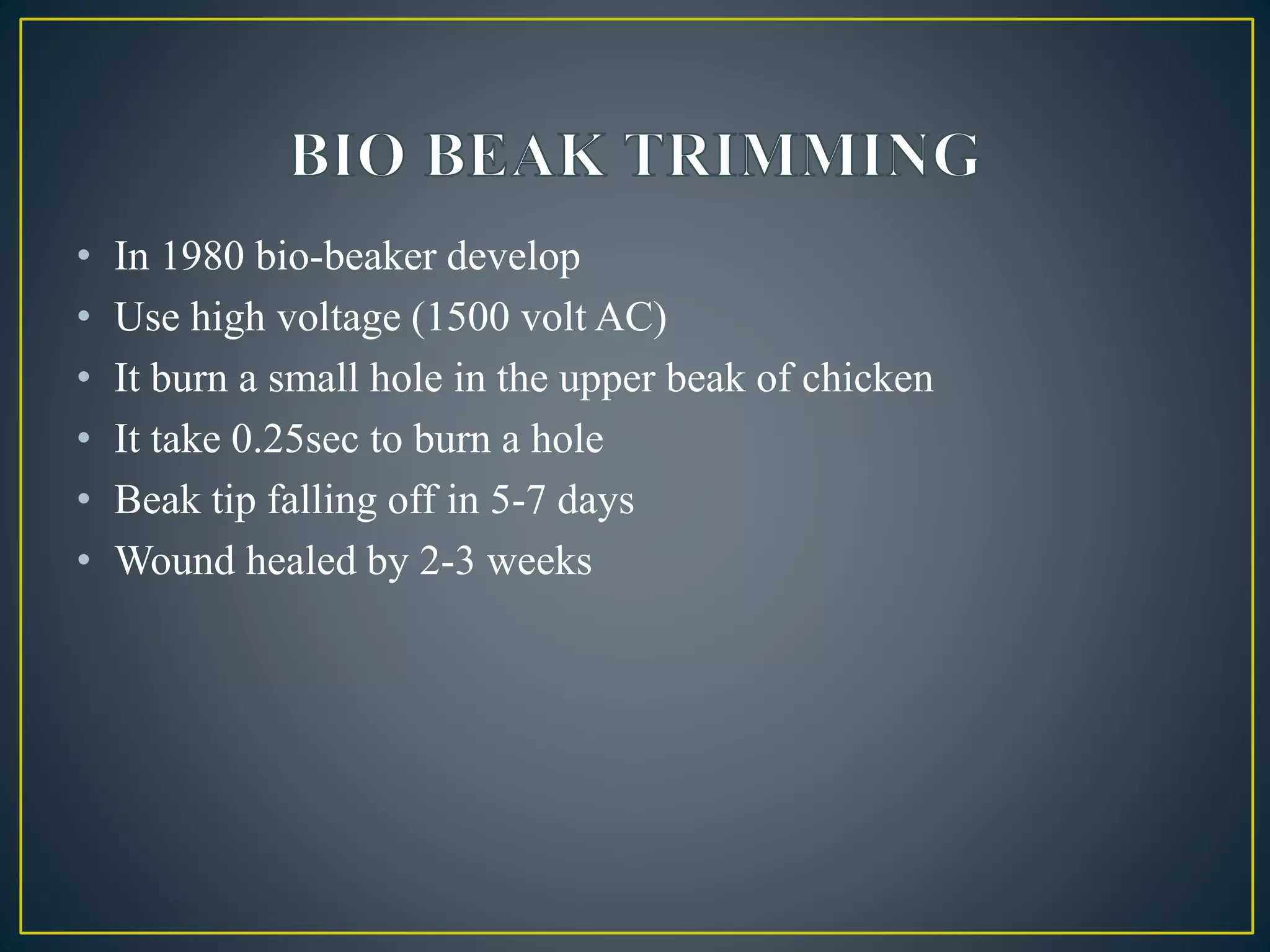 Debeaking & dumbing in poultry | PPT