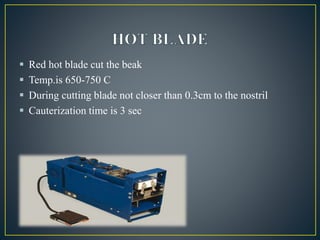 Debeaking & dumbing in poultry | PPT