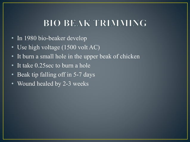 Debeaking & dumbing in poultry | PPT