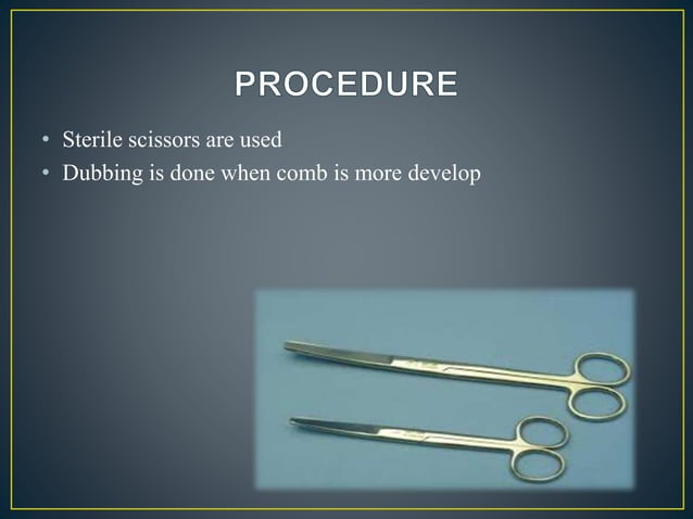 Debeaking & dumbing in poultry | PPT