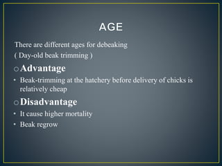Debeaking & dumbing in poultry | PPT