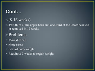 Debeaking & dumbing in poultry | PPT